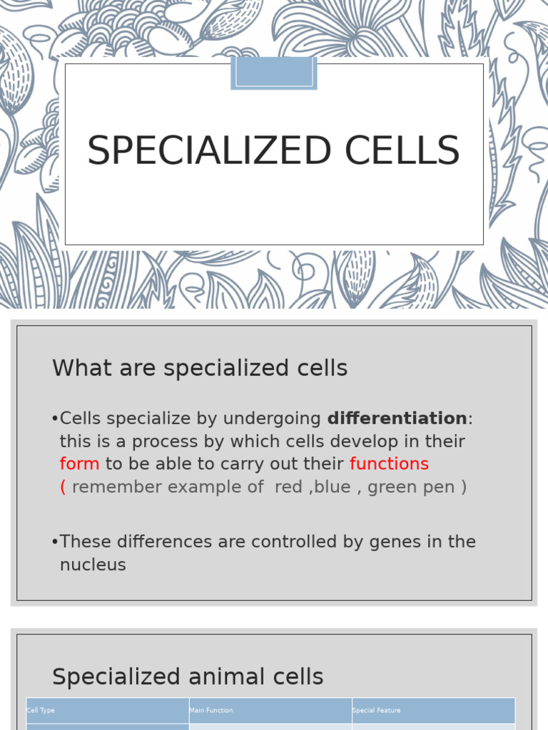 Specialized Cells Updated | PDF | Neuron | Nerve