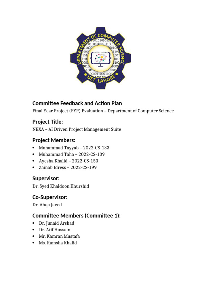 Committee Feedback and Action Plan NEXA | PDF