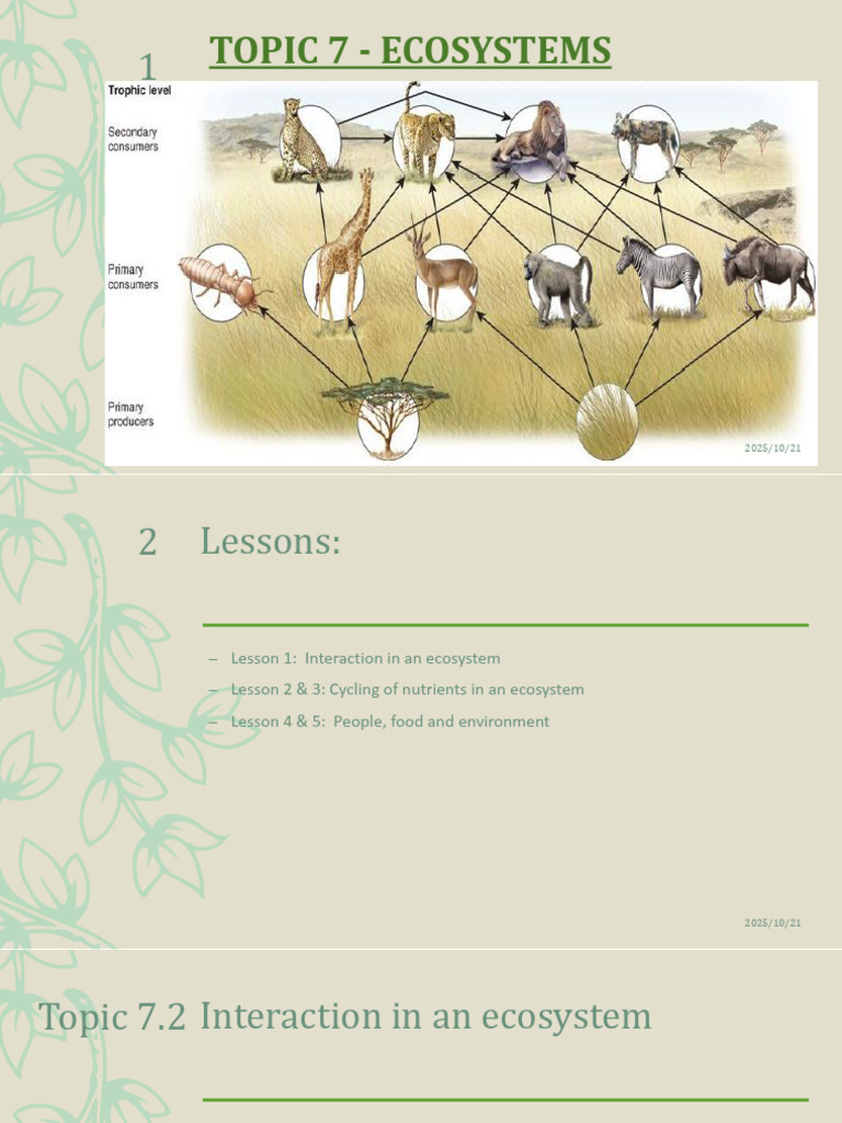 Ecosystem Interactions and Nutrient Cycling | PDF | Ecosystem | Food Web