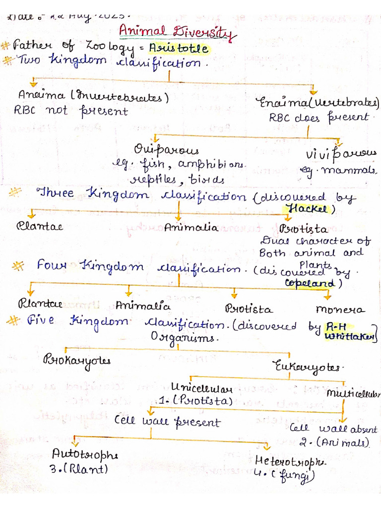 Unit 1 Notes | PDF