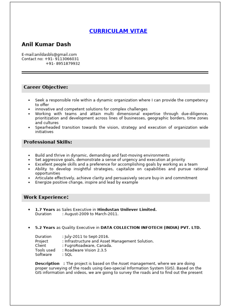 Anil Kumar Dash - Professional CV | PDF