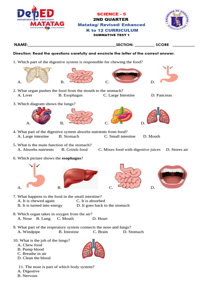 Q2 SCIENCE 5 Summative Test 12 | PDF | Gastrointestinal Tract | Digestion