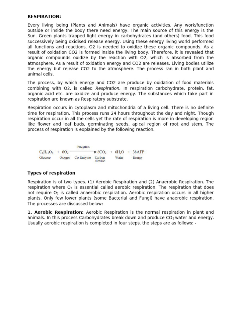 Understanding Respiration in Living Organisms | PDF | Heart Valve ...
