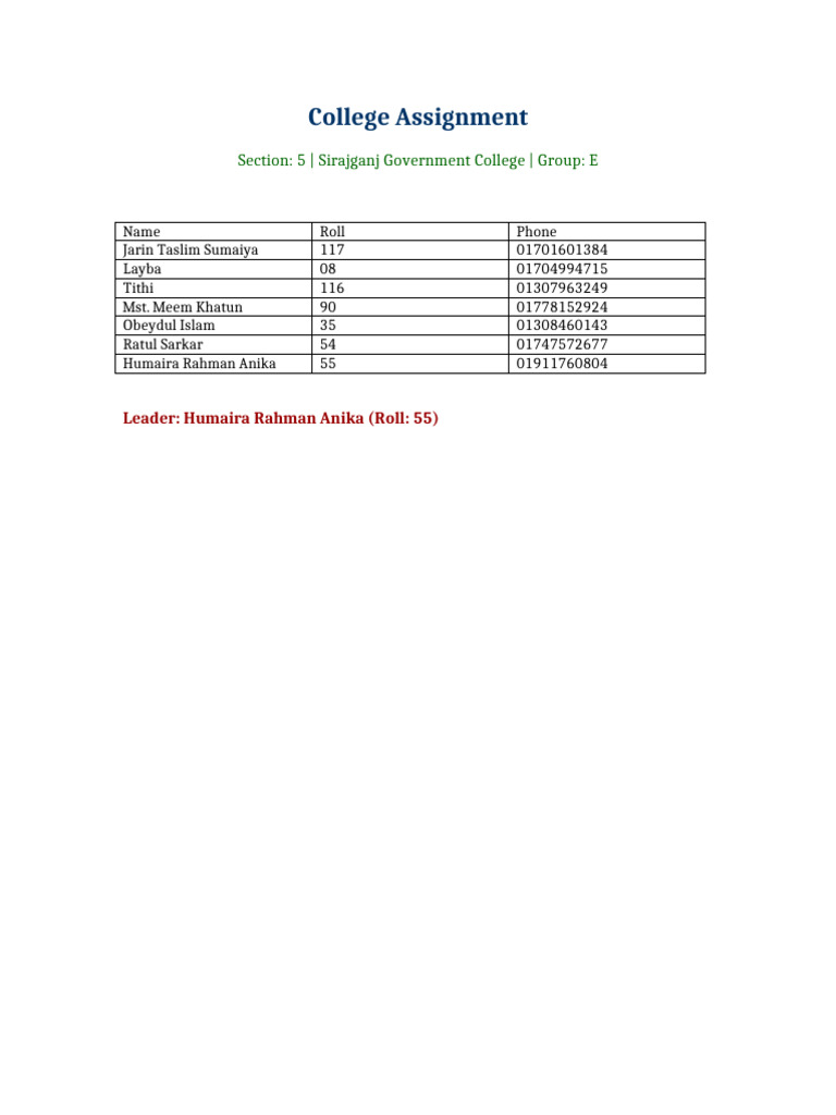 College Assignment Group E | PDF