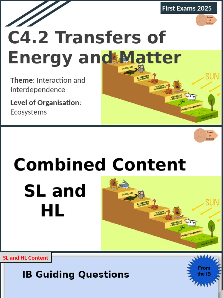 Energy and Matter in Ecosystems | PDF | Food Web | Primary Production
