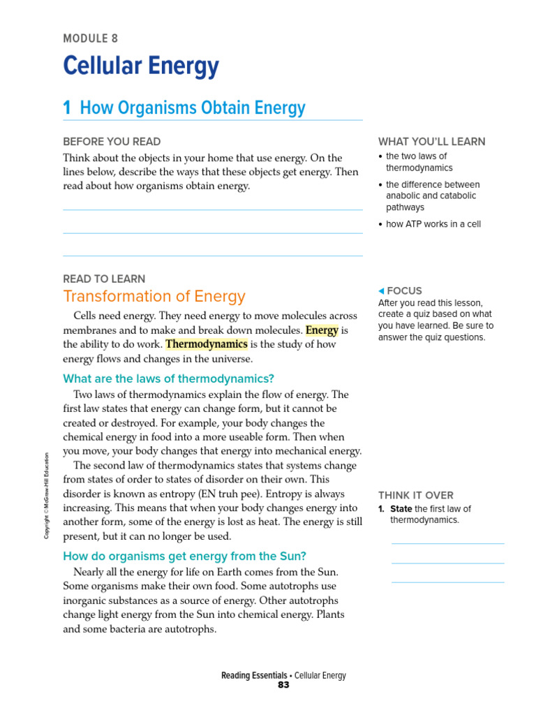 Understanding Cellular Energy Processes | PDF | Cellular Respiration ...
