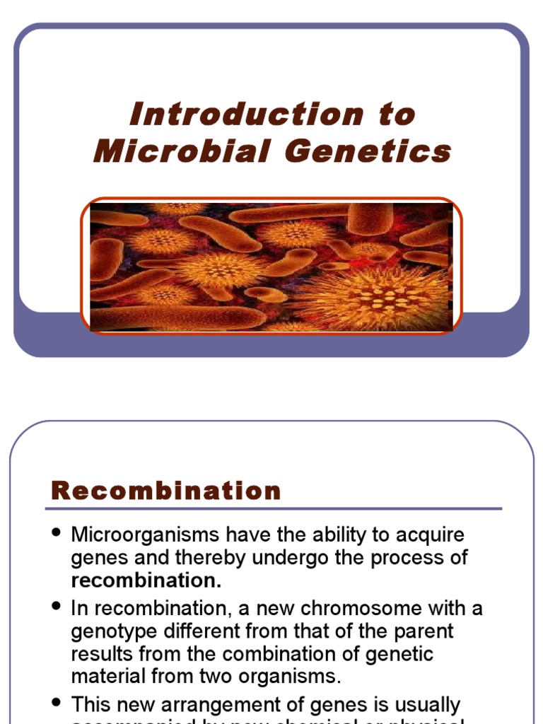 Introduction To Microbial Genetics | PDF | Bacteriophage | Plasmid