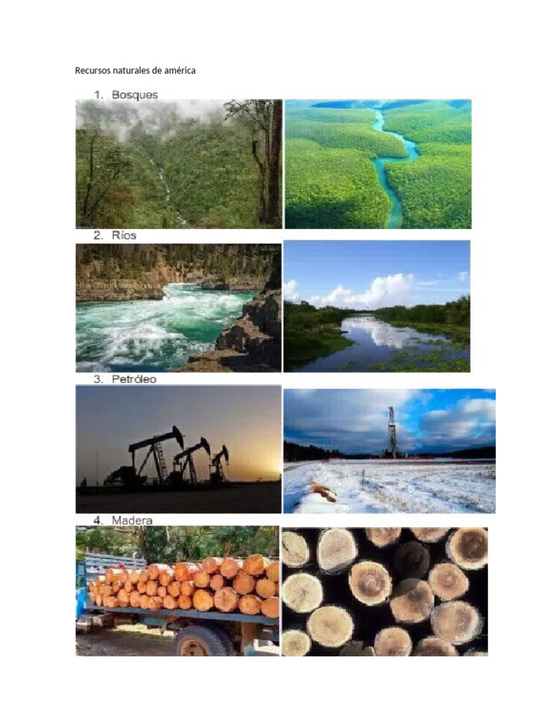 Recursos Naturales de América | PDF