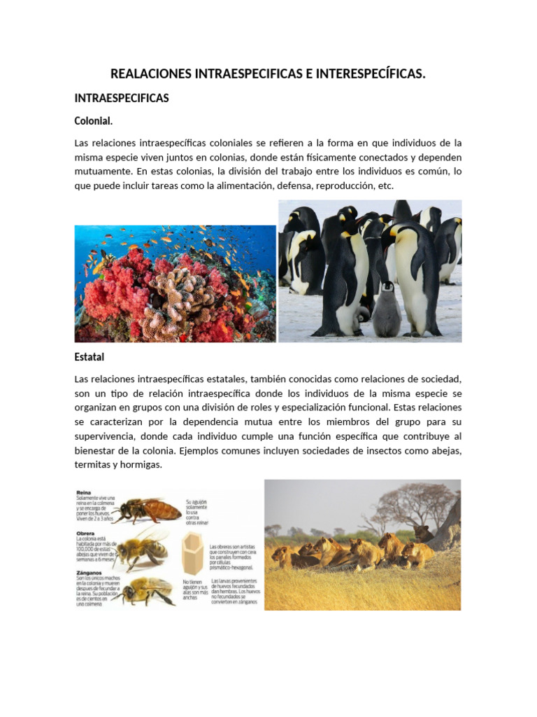Relaciones Intraespecíficas y Dibujos | PDF | Depredación | Evolución ...