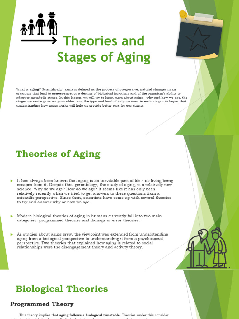 Theories and Stages of Aging | PDF | Senescence | Ageing