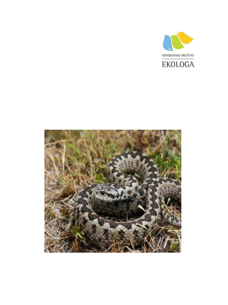 Uporedna Fizio Skripta | PDF