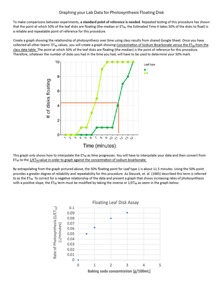 LAB Photosynthesis Data Conversion | PDF