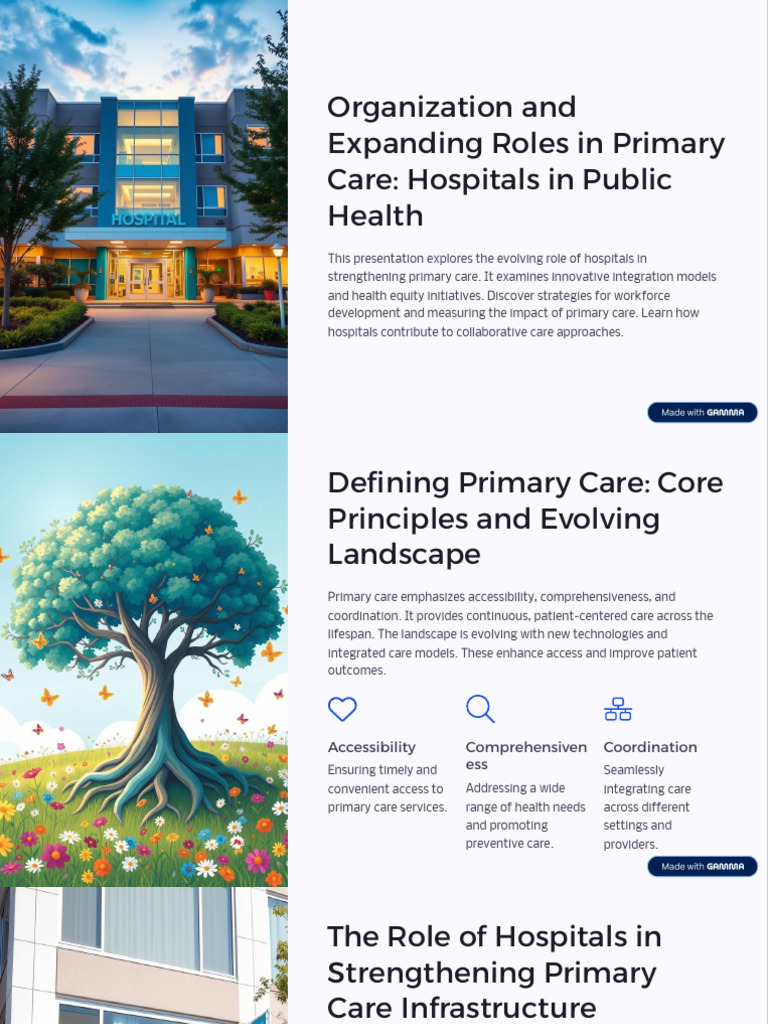 Organization and Expanding Roles in Primary Care Hospitals in Public ...