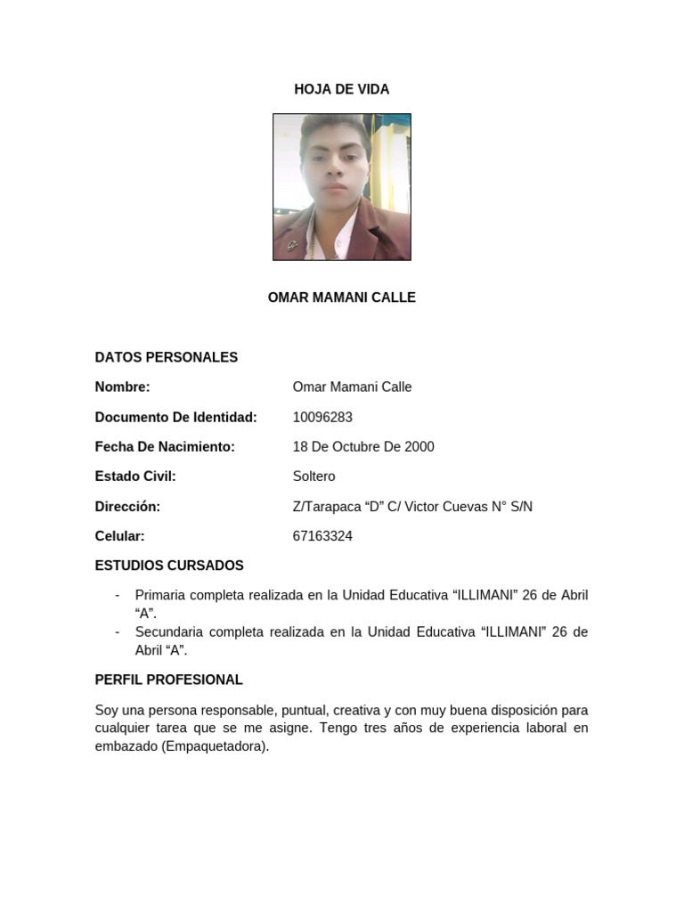 Hoja de Vida Simple | PDF