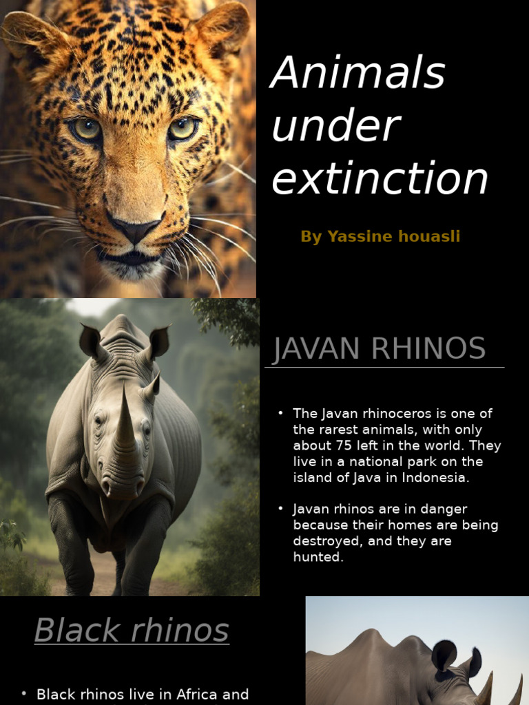 Animals Under Extinction ENGLISH' | PDF