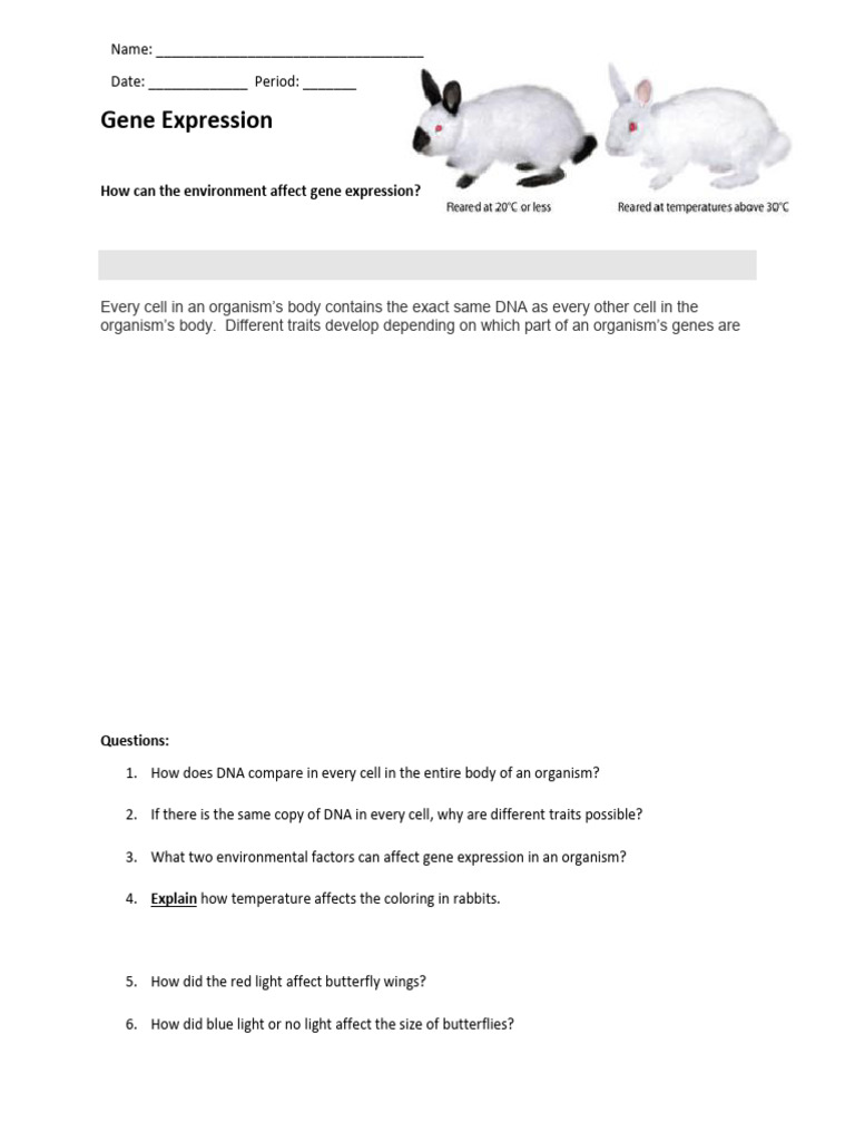 Gene Expression Article Rabbits | PDF | Gene | Butterfly