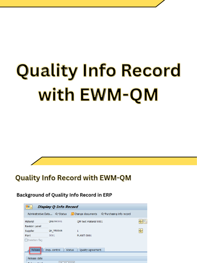 Quality Info Record in EWM-QM Guide | PDF