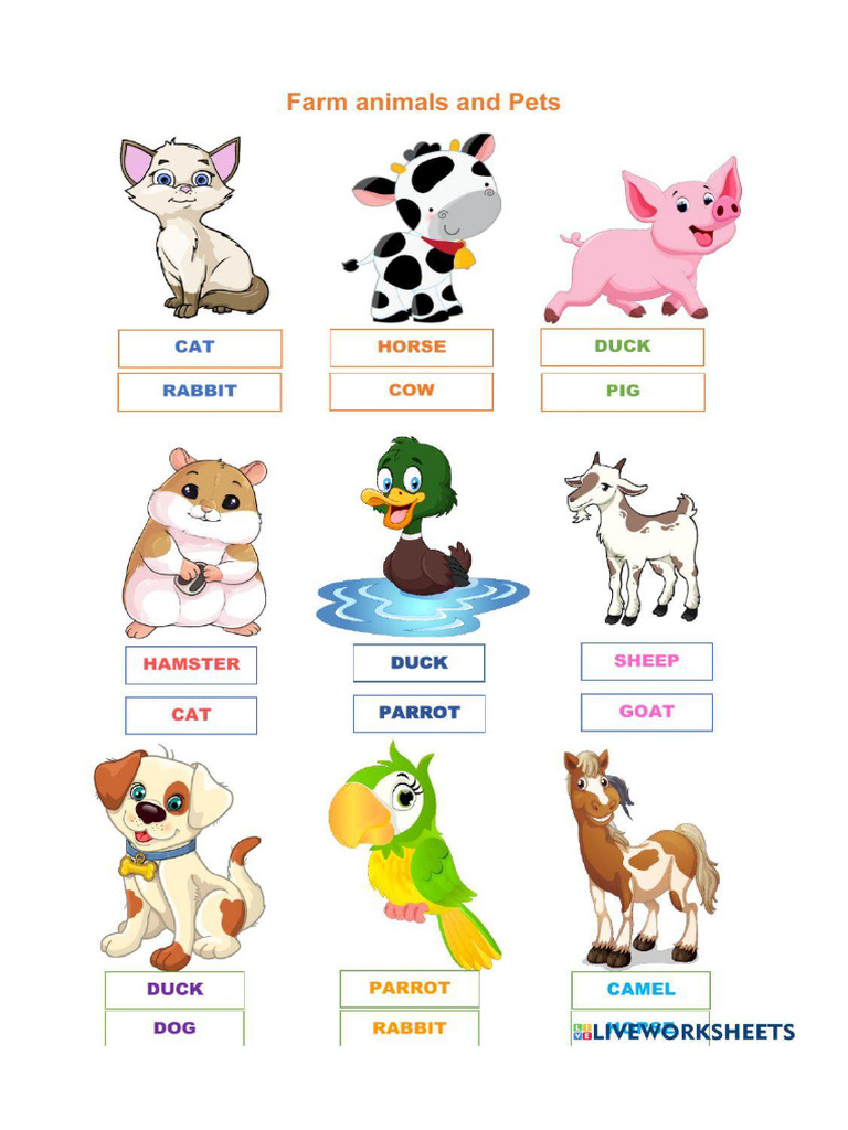 Farm Animals and Pets | PDF