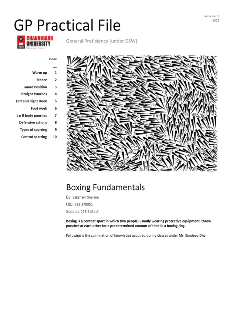 Boxing Fundamentals and Techniques Guide | PDF