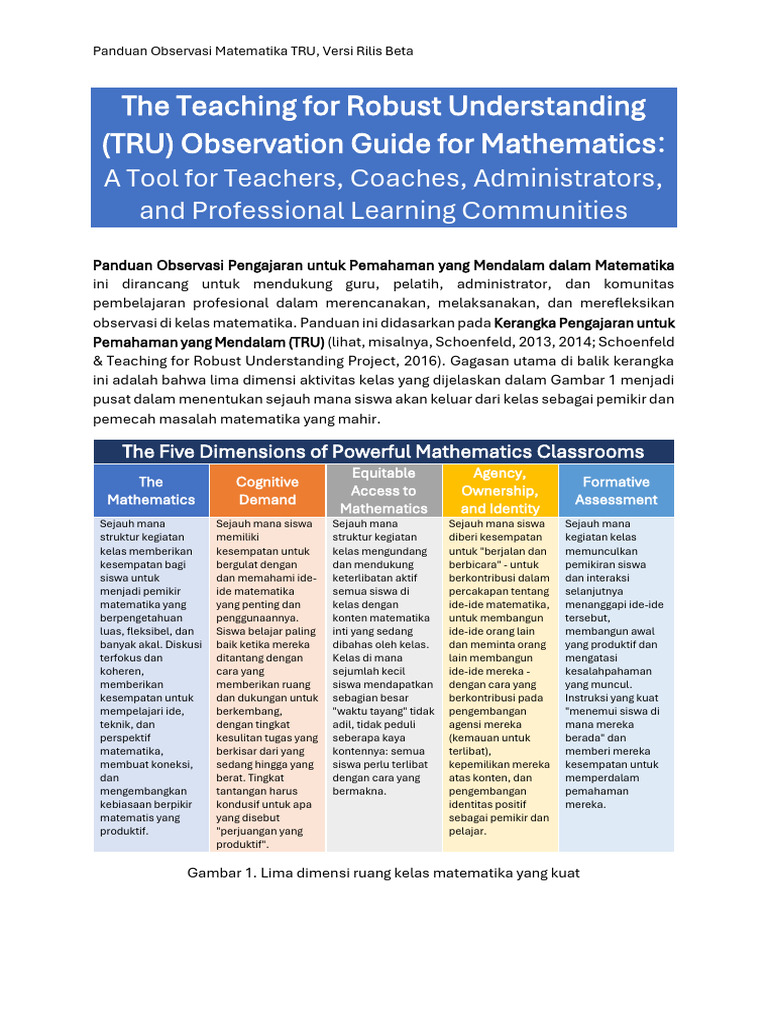 The TRU Math Observation Guide | PDF