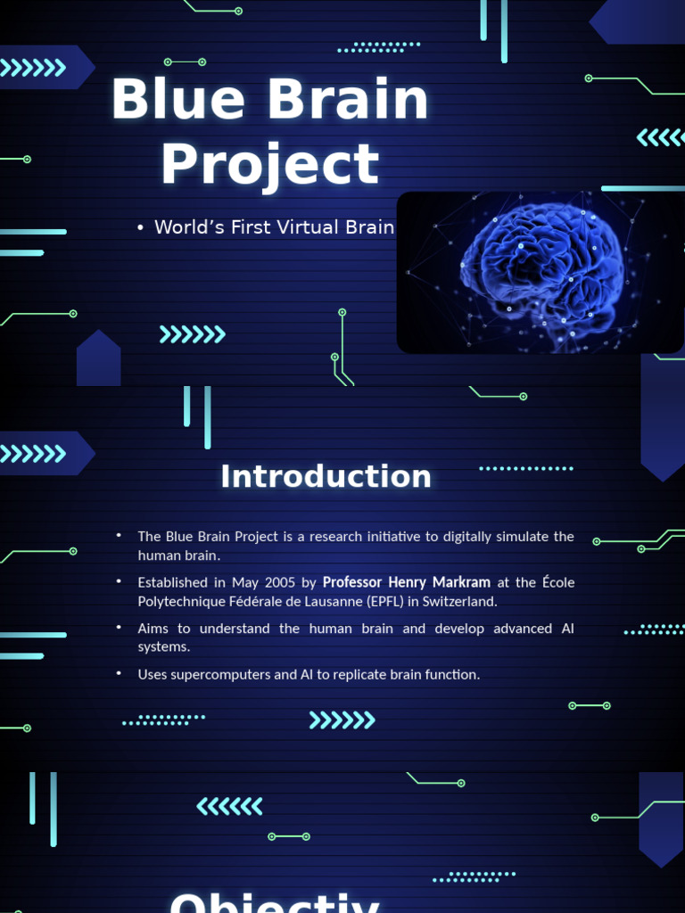 Blue Brain Project | PDF