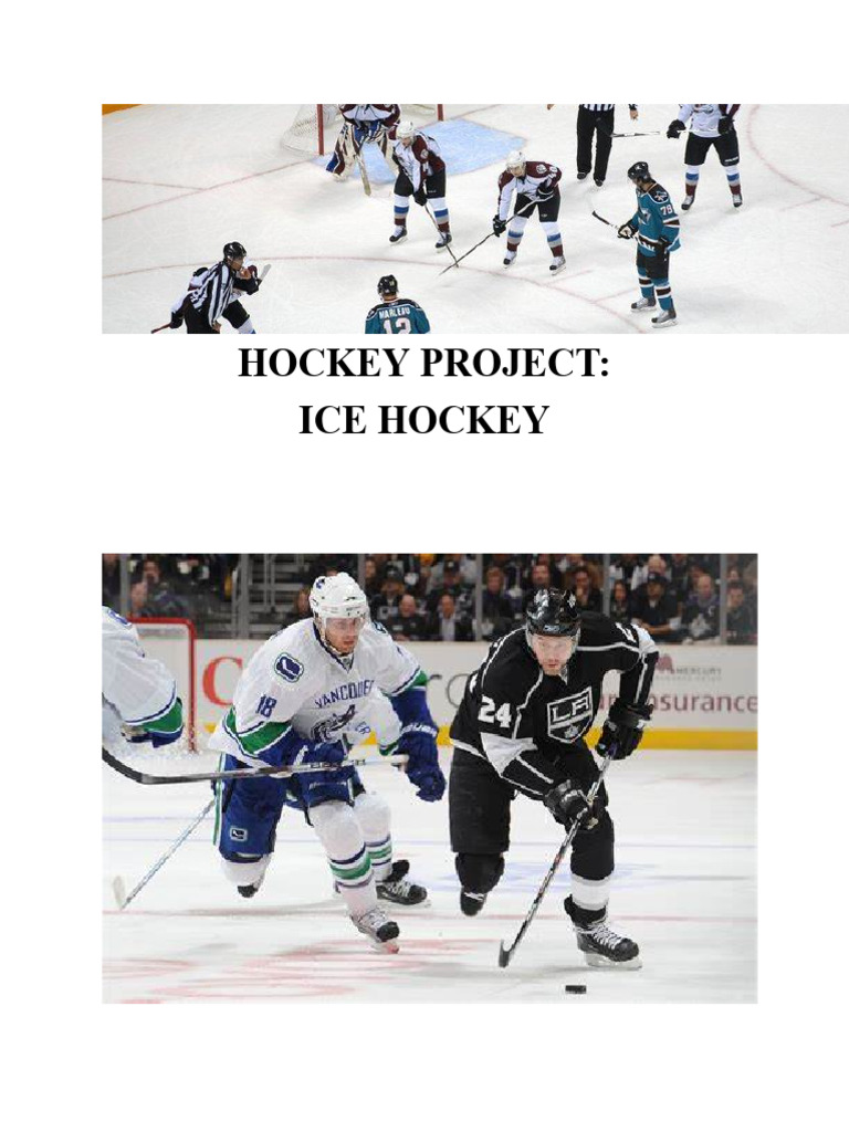 Hockey Proyect 1 | PDF | Ice Hockey | Sports