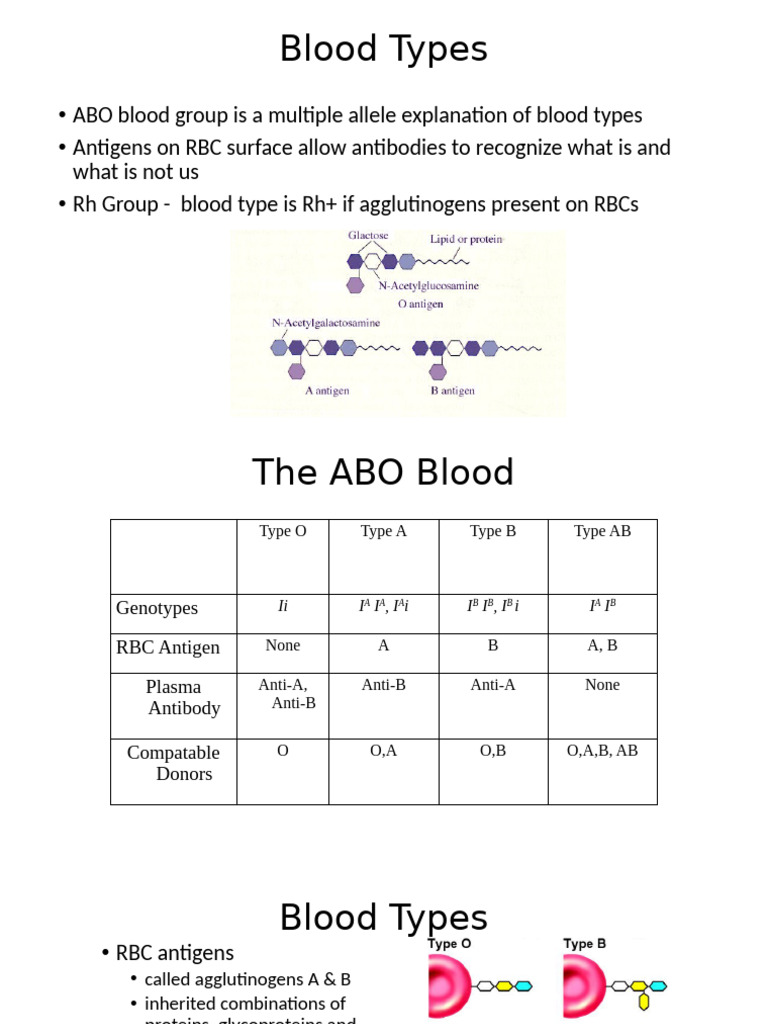 Blood Types and Hemostasis | PDF | Blood Type | Coagulation