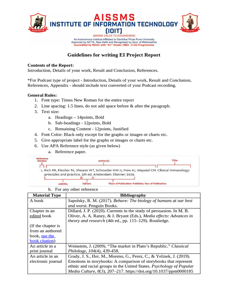 EI Project Report Writing Guidelines | PDF