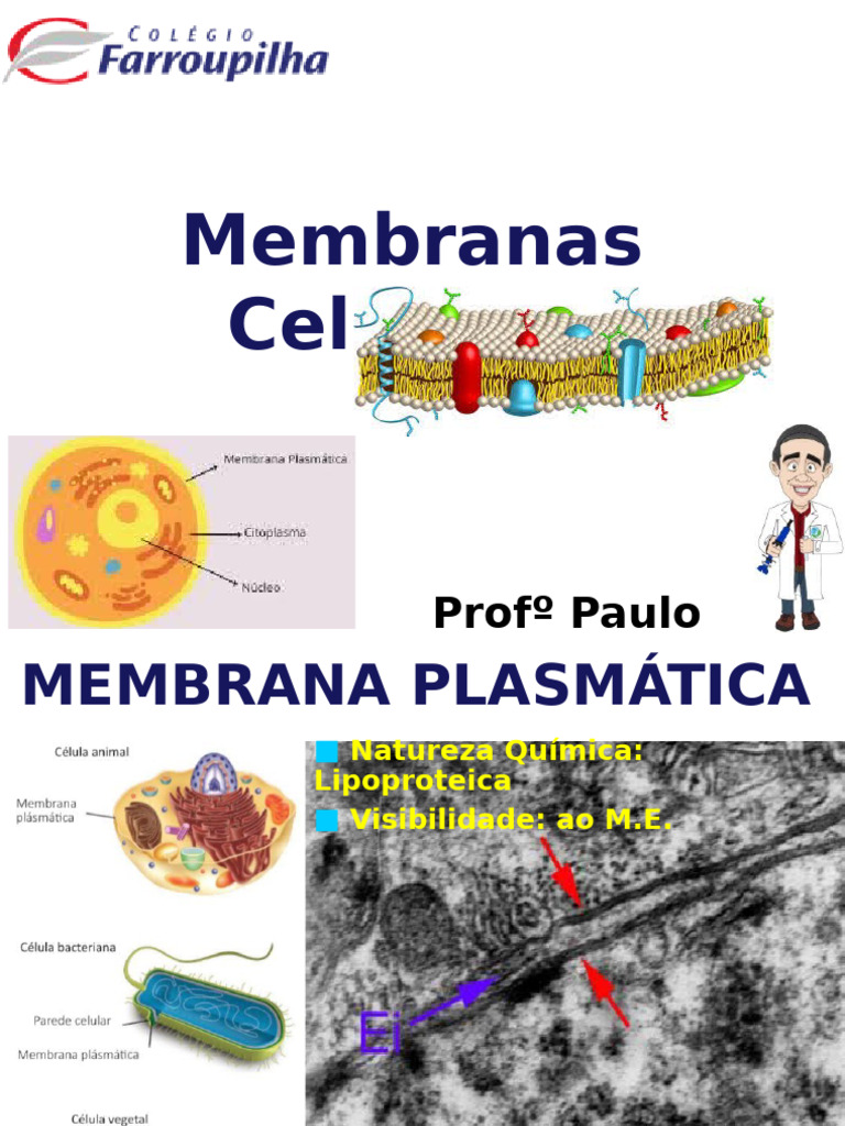 Aula 3 Membranas | PDF