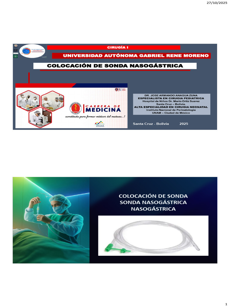 Guía para Colocación de Sonda Nasogástrica | PDF | Especialidades ...