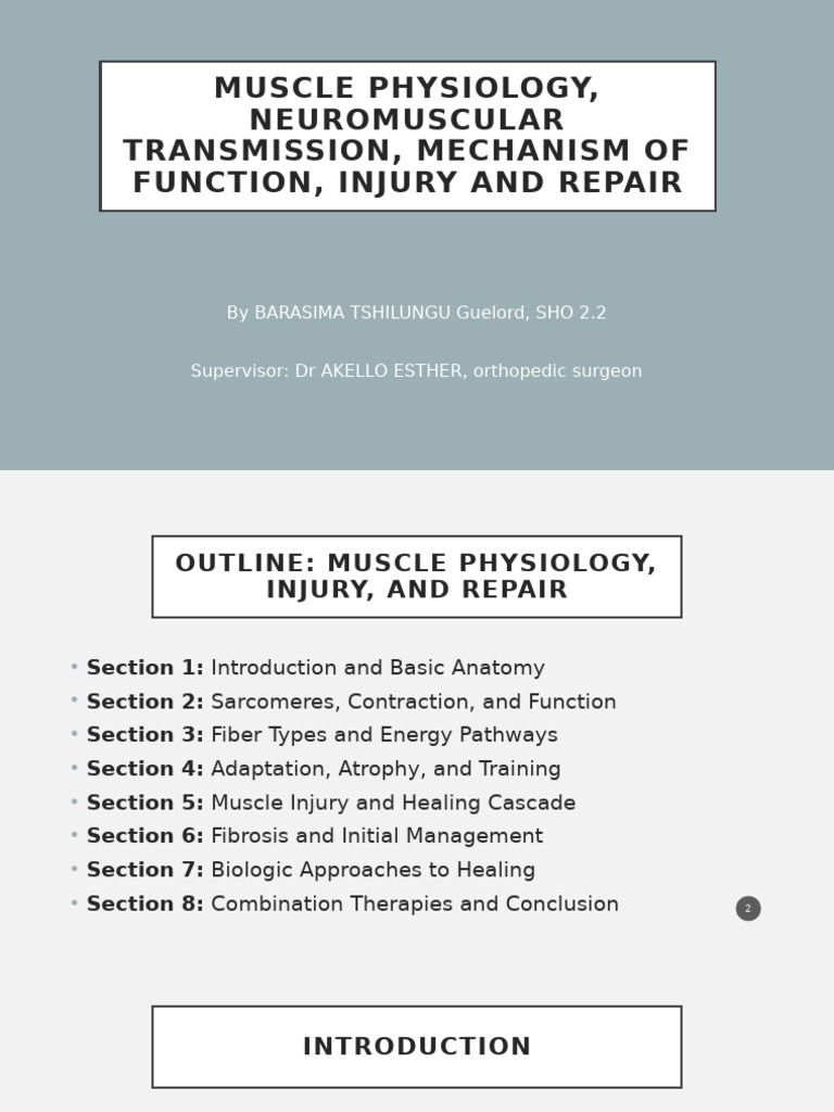 Muscle Physiology and Injury Repair Guide | PDF | Muscle Contraction ...