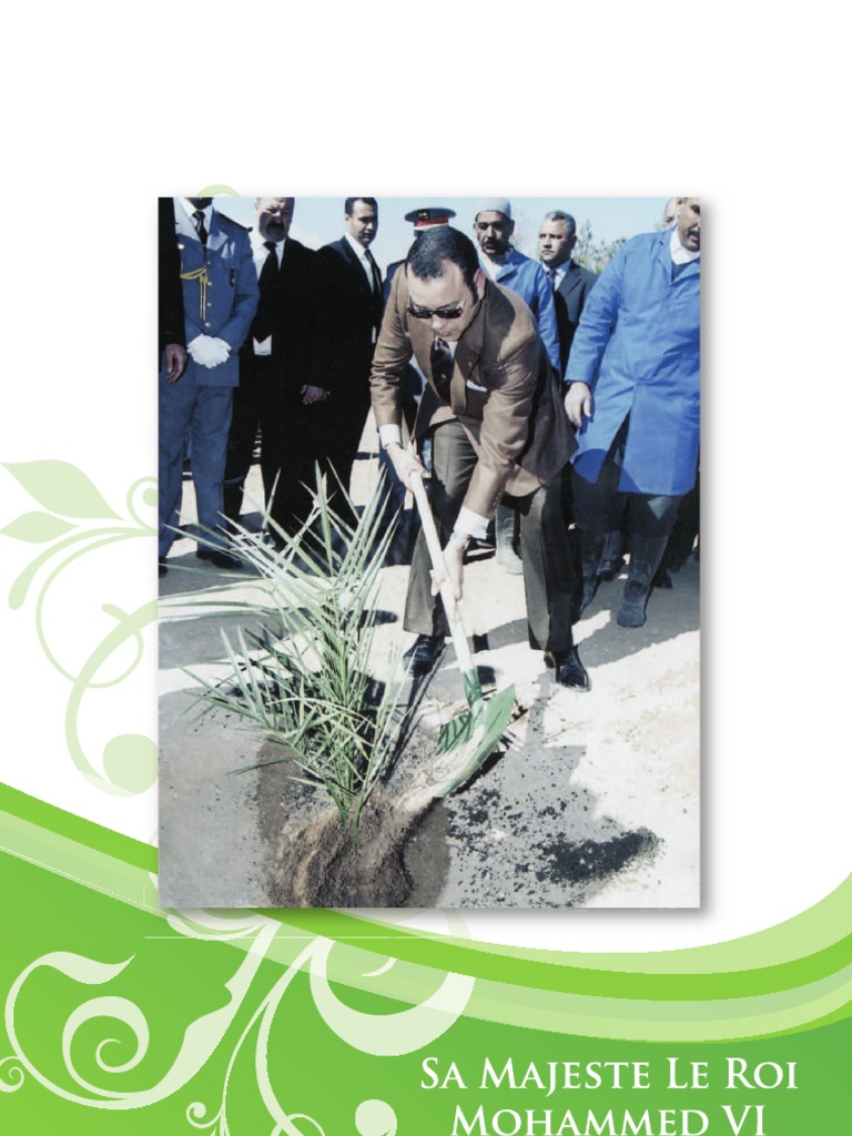 Plan Maroc Vert Région Meknès-Ta Lalet | PDF | Maroc | Agriculture