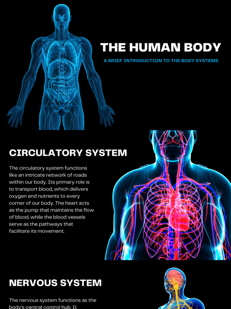 The Human Body Science Presentation in White Blue Informative ...