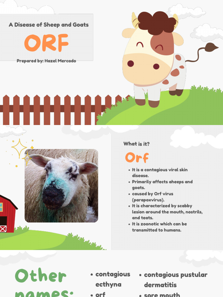 20. Orf | PDF | Medical Specialties | Diseases And Disorders