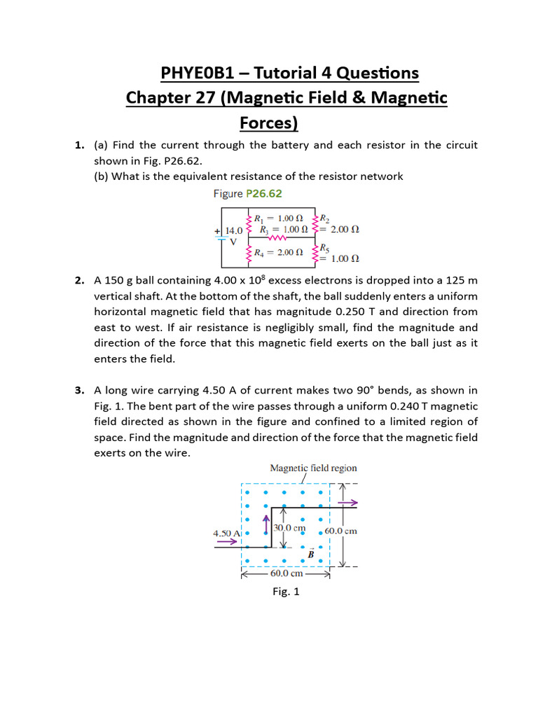 Magnetic Field and Forces Tutorial Questions | PDF | Magnetic Field | Force