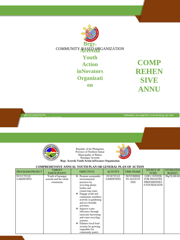 Comprehensive Annual Youth Plan | PDF | Literacy | Natural Environment
