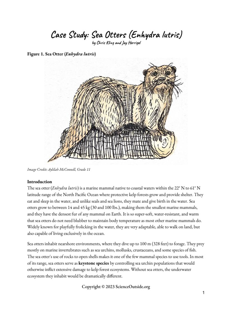 Case Study 3.0 Sea Otters SO Student Edition Revised 9.27.23 | PDF ...