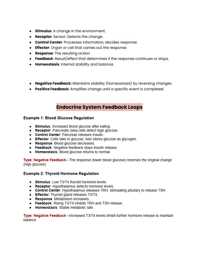 Endocrine System Feedback Mechanisms | PDF