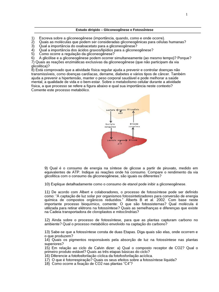 Gliconeogênese e Fotossíntese: Fundamentos e Processos | PDF ...