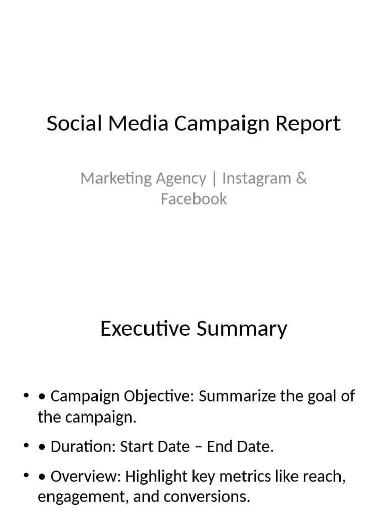 Social Media Campaign Performance Report | PDF