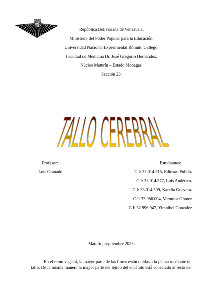 Tallo Cerebral (1) | PDF | Cerebelo | Anatomía humana