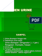 Kristal Amorf dalam Urine dan Karakteristiknya | PDF