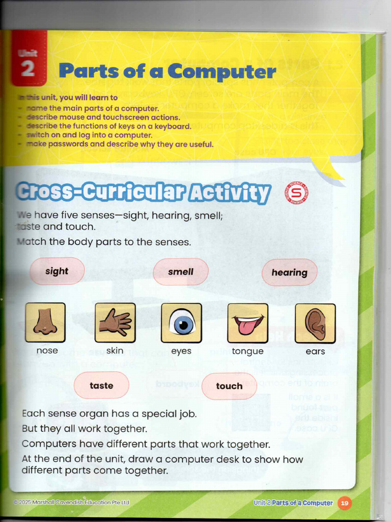 Coding Unit 2 Grade 3 & 4 | PDF