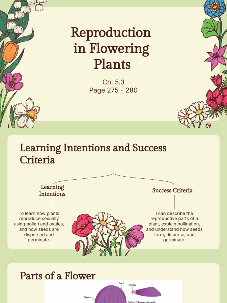 5.3 Reproduction in Flowering Plants.pptx (1) | PDF | Flowers | Pollination