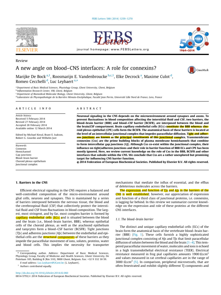 A New Angle On Blood CNS Interfaces | PDF | Cerebrospinal Fluid | Blood ...