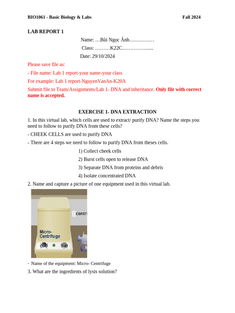 Lab 1 Report - Buingocanh-K22c | PDF | Karyotype | Dna Profiling