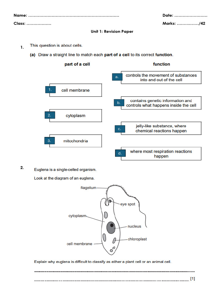 Grade 6 Unit 1 Revision Paper 1 | PDF