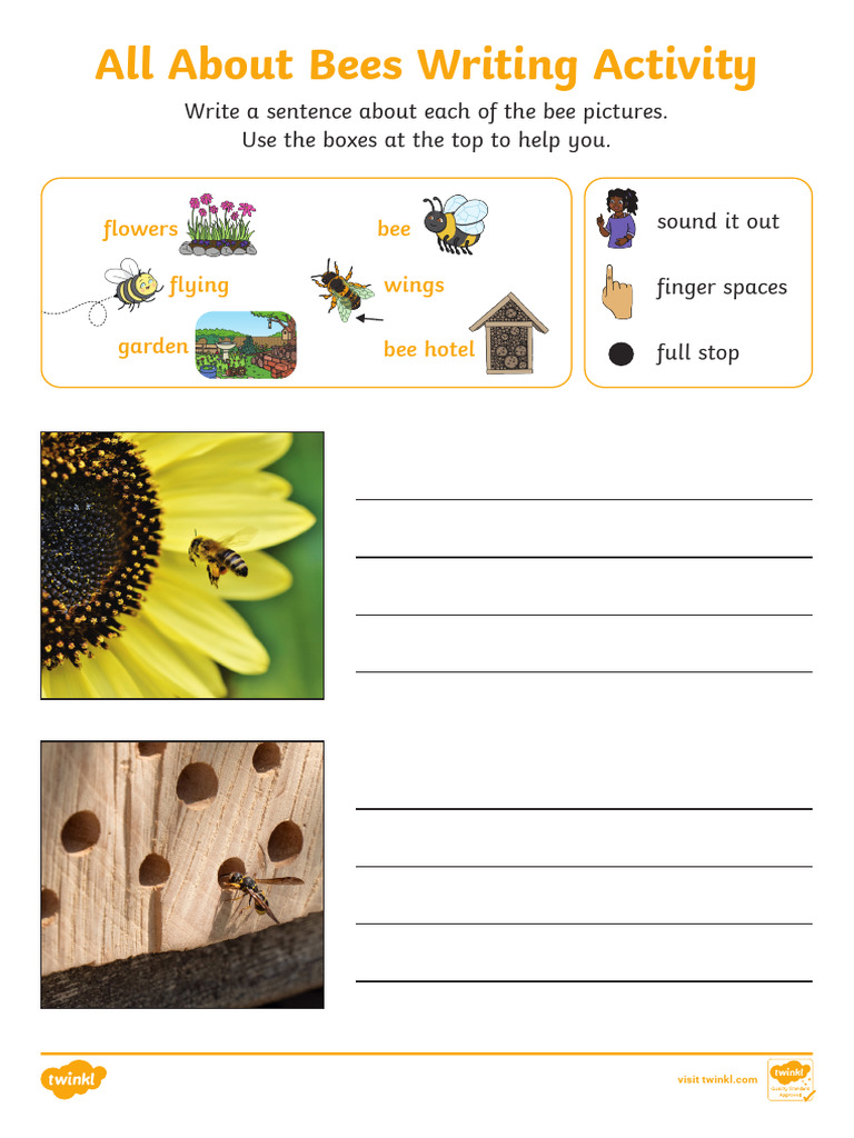 T e 1650448597 All About Bees Early Writing Activity Ver 1 | PDF