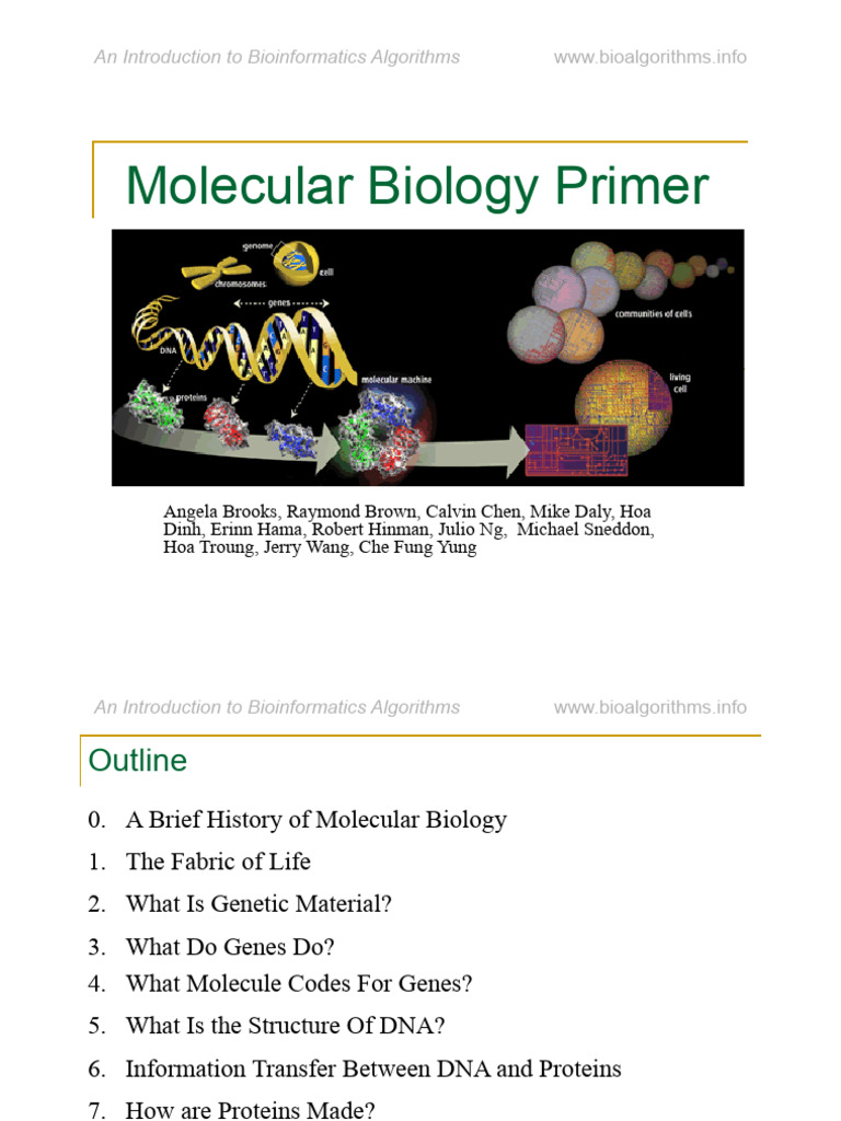 Ch03 Molecular Biology Primer | PDF | Meiosis | Rna Splicing
