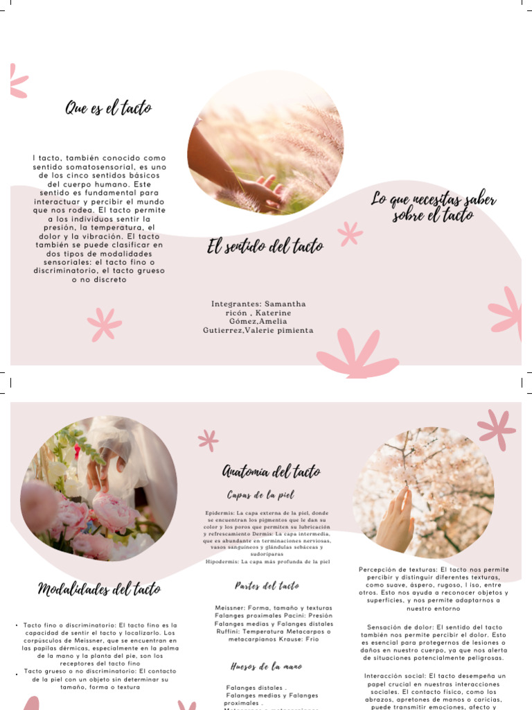 DOC-20240504-WA0003. (Tamaño Original) - 20240505 - 101406 - 0000 | PDF ...